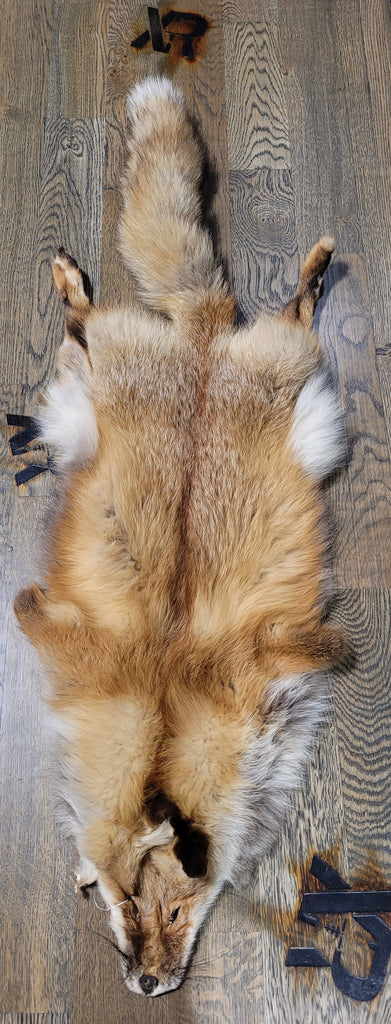 Fox Pelt #01175412 – Extreme Range Outfitters
